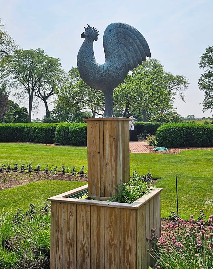 The garden's unofficial mayor stands tall! This magnificent rooster sculpture adds a touch of whimsy to the formal gardens—no early morning crowing included.