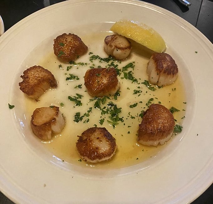 These seared scallops aren't just cooked—they're pampered, bathed in butter, and treated better than most people treat their pets.