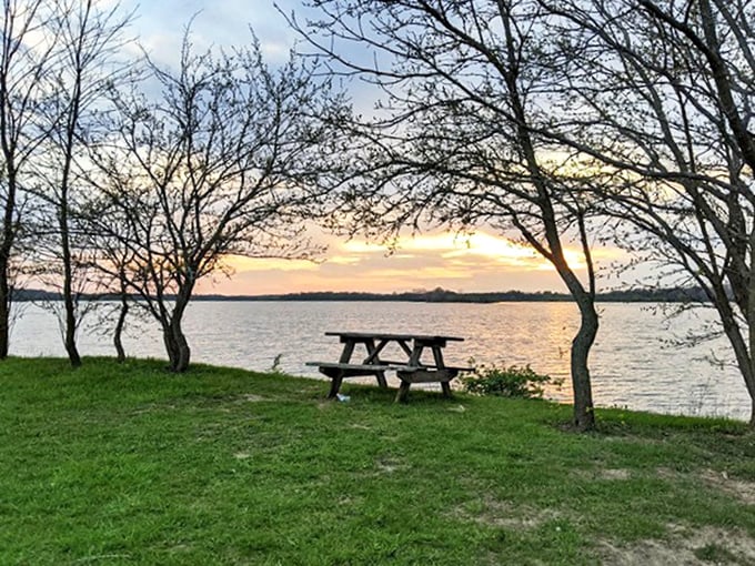 Nature's dining room with a sunset view. This picnic spot transforms ordinary sandwiches into memorable feasts – no reservation required.