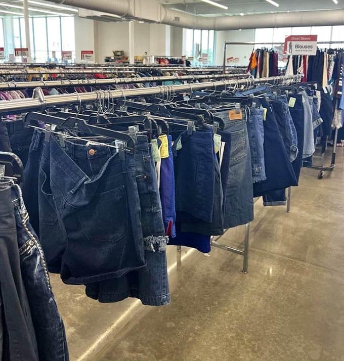 Denim democracy in action – shorts and jeans of every wash and wear hang in perfect formation, awaiting their next adventure.