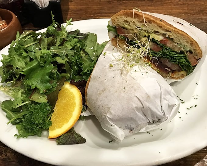 The sandwich-salad combo proves lunch isn't just breakfast's forgettable cousin – it's the sophisticated sibling who studied abroad.