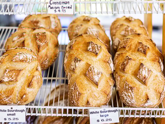 Sourdough loaves with personalities as distinct as Beethoven symphonies. Each scoring pattern tells a different delicious story.