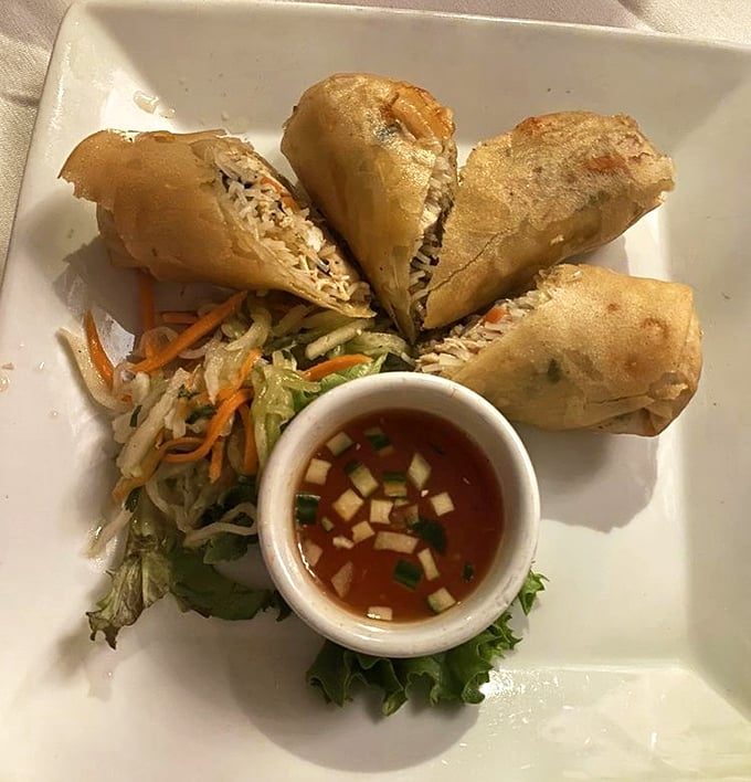 Spring rolls arranged like a delicate fan, accompanied by a vibrant dipping sauce that's practically begging for your attention.