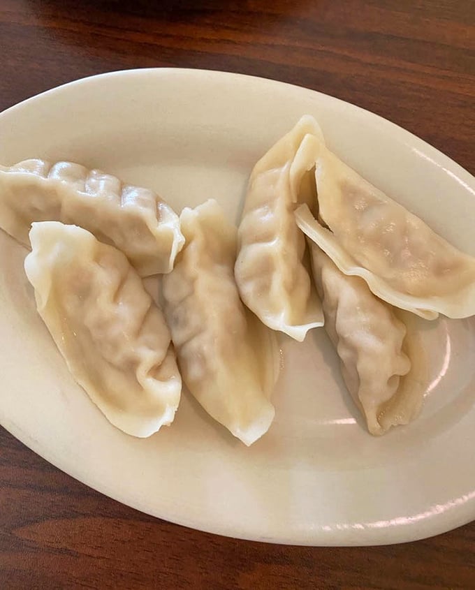 Steamed dumplings sitting pretty on their plate. These delicate pouches hold secrets worth discovering.