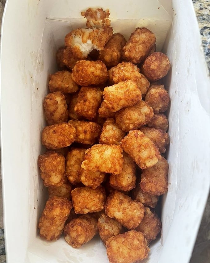 Tater tots achieving their full potential—crispy outside, fluffy inside, seasoned like they deserve respect, not just an afterthought status.