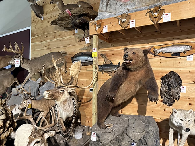 The taxidermy section – where Pennsylvania's wildlife gets a second chance at stardom and city folks get their first taste of authentic country decor.
