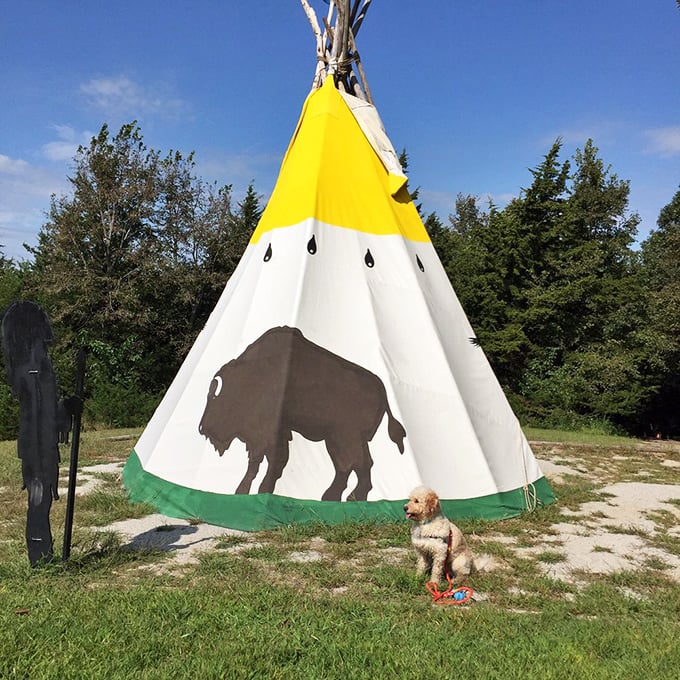 Plains history meets camping comfort in this decorative tipi, where modern adventurers can channel their inner pioneer without sacrificing Wi-Fi.