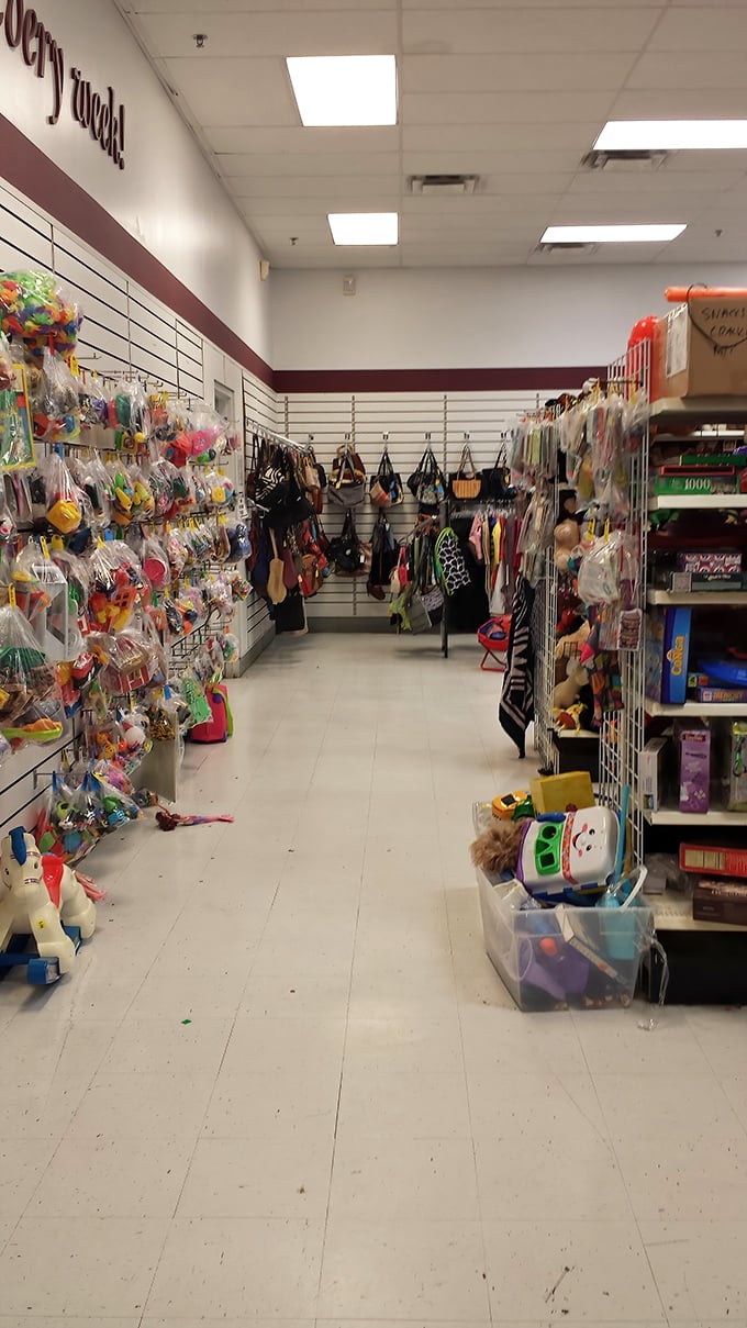 The toy aisle: where childhood memories and collectibles mingle in plastic harmony. One person's decluttering is another's nostalgic goldmine.