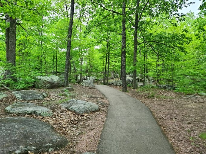 The Braille Trail winds through verdant spring foliage, making accessibility beautiful – universal design at its most enchanting.