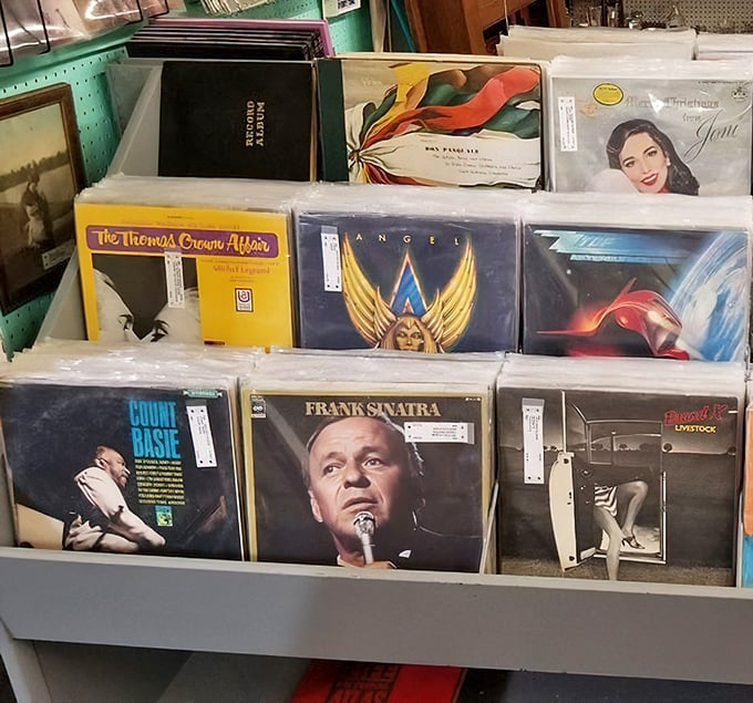 Vinyl treasures featuring Frank Sinatra, Count Basie, and Angel – each album cover a miniature art gallery waiting to spin stories once again.