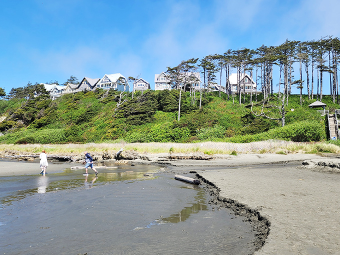 Room with a view! Seabrook's hillside homes peer through carefully preserved trees, offering residents front-row seats to nature's greatest show—the endless Pacific.