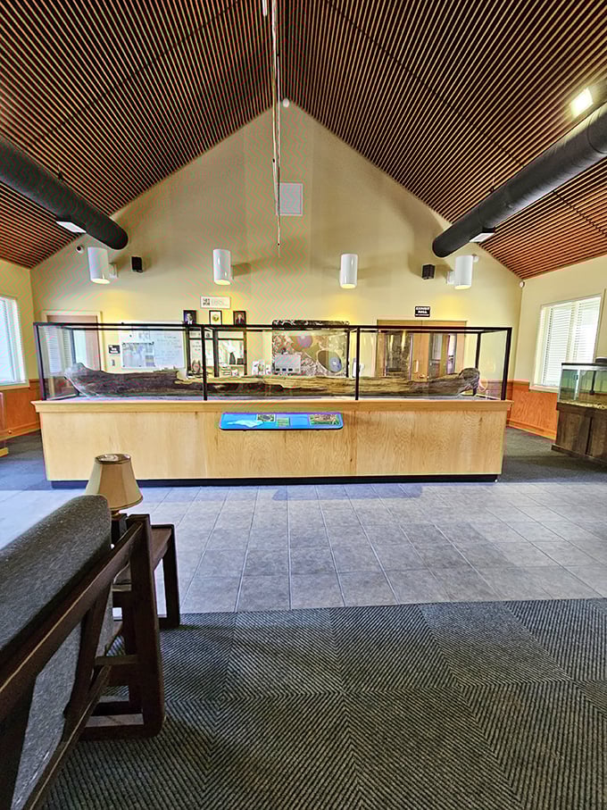 The visitor center might not look fancy, but it houses treasures of knowledge about Carolina bays and their mysterious origins. Science meets wonder inside these walls.
