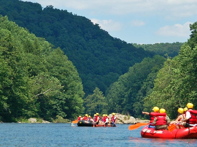 Whitewater rafting: Where 'going with the flow' takes on a whole new meaning. Prepare for nature's wildest ride!