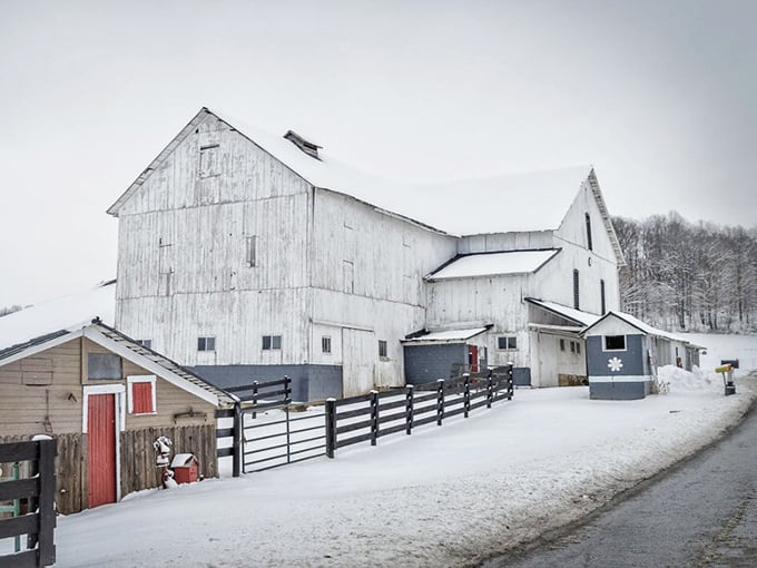 Winter's white blanket transforms this farmstead into a scene straight from a Christmas card—minus the glitter, plus authentic farm work.