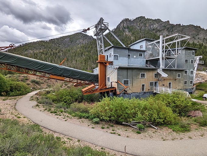 Industrial meets wilderness at the historic gold dredge. This mechanical dinosaur reminds us that even in paradise, people were hustling for treasure.