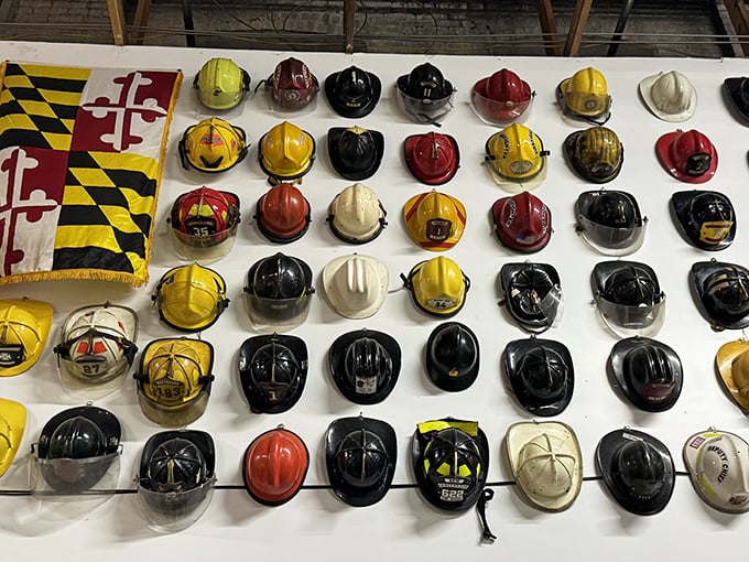 Maryland pride meets first responder history in this impressive display of firefighter helmets—each one carrying stories of heroism and heritage.