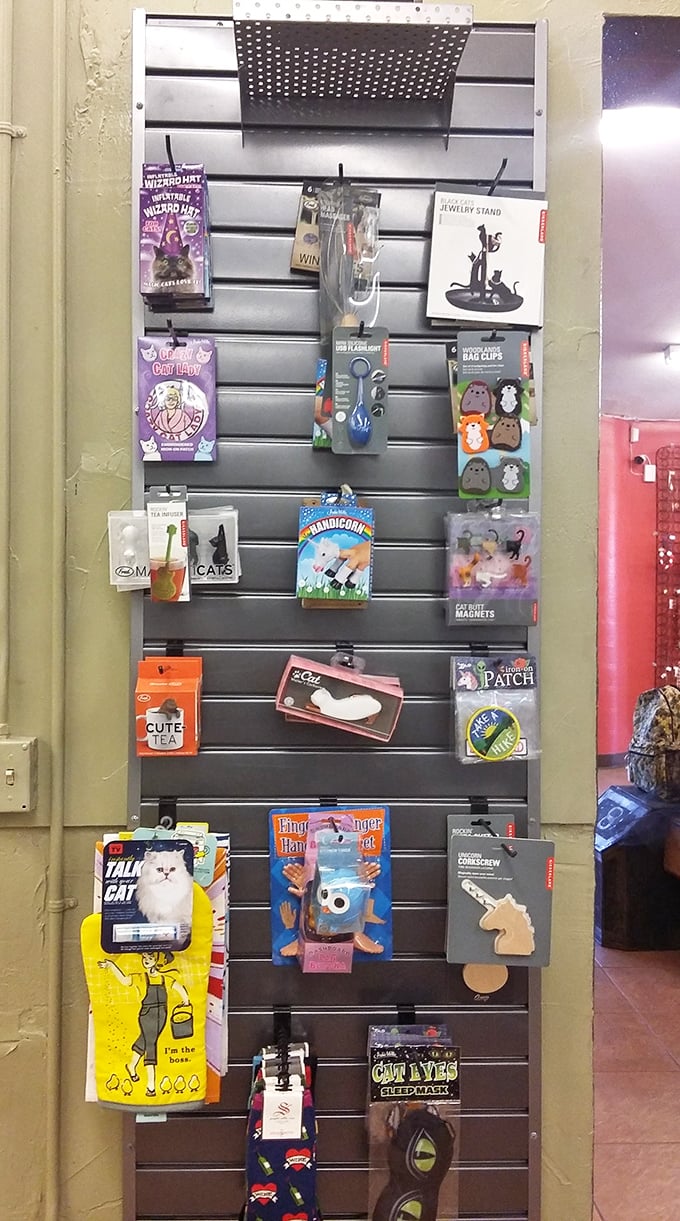 The accessories wall – where quirky cat-themed items and unicorn bottle openers become impulse buys you'll actually use.