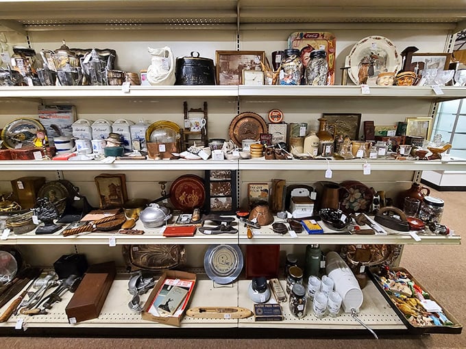 Shelves groaning under the weight of yesterday's treasures—each item whispering, "Take me home, I've got stories to tell."