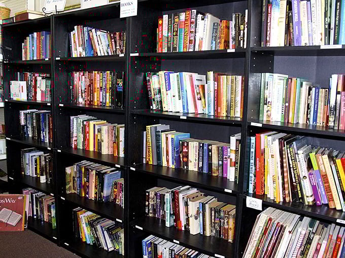 The book section rivals some small-town libraries. Literary treasures await between these shelves, from beach reads to forgotten classics.