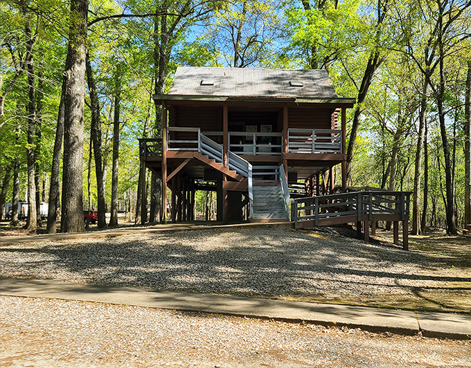 This elevated cabin brings treehouse dreams to grown-up reality, offering woodland views without having to worry about splinters in uncomfortable places.