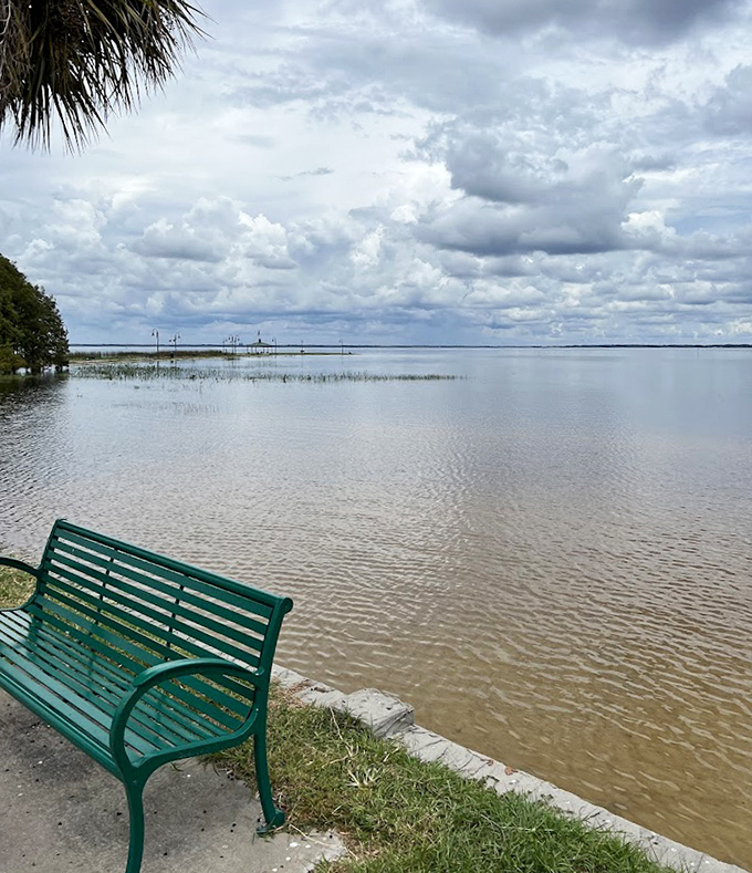 A perfect thinking spot where the only rush hour is when the ducks change shifts. The teal bench invites contemplation while East Lake Toho stretches into forever.
