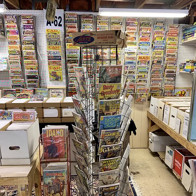 Comic book heaven where childhood memories are preserved in four-color glory, each plastic sleeve protecting someone's personal mythology.