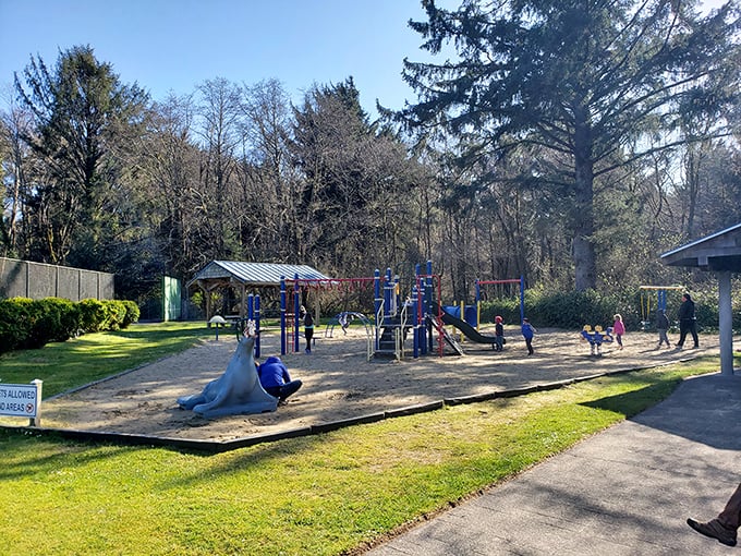 Even paradise needs a playground. Manzanita's community park offers swings with a side of towering evergreens—childhood memories in the making.