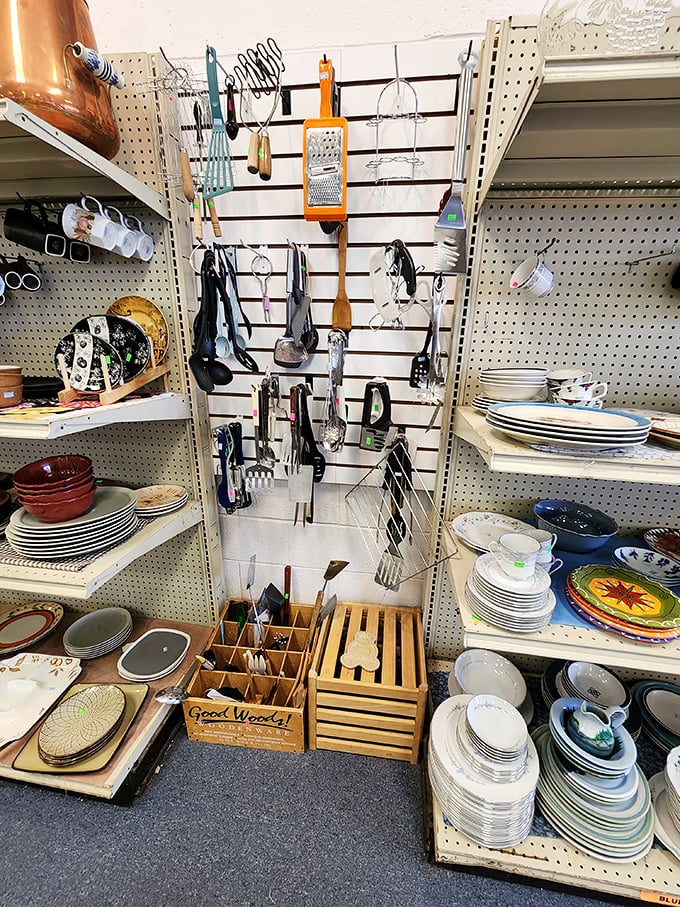 Kitchen gadget nirvana where utensils of mysterious purpose await adoption. That wooden spoon has probably stirred more meals than most restaurants serve.
