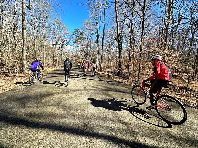Winter cyclists claim the trails when summer crowds retreat, proving that some outdoor enthusiasts don't hibernate—they just add another layer.