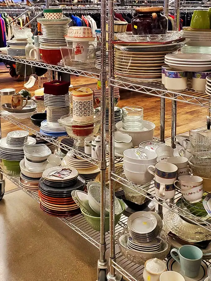 Dishes upon dishes upon dishes—enough place settings to host a royal banquet or replace that mug your spouse "accidentally" broke during an argument.