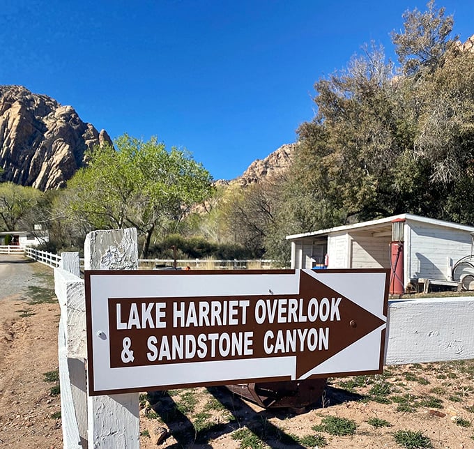 When a sign points to "Lake Harriet & Sandstone Canyon," it's not offering suggestions—it's giving life directions you should follow immediately.