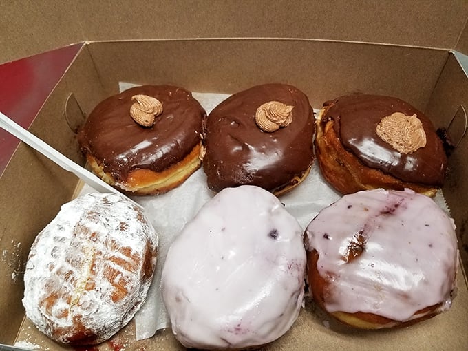 A box of donuts that represents the full spectrum of breakfast joy—from chocolate-topped perfection to powdered sugar dreams that refuse to be ignored.