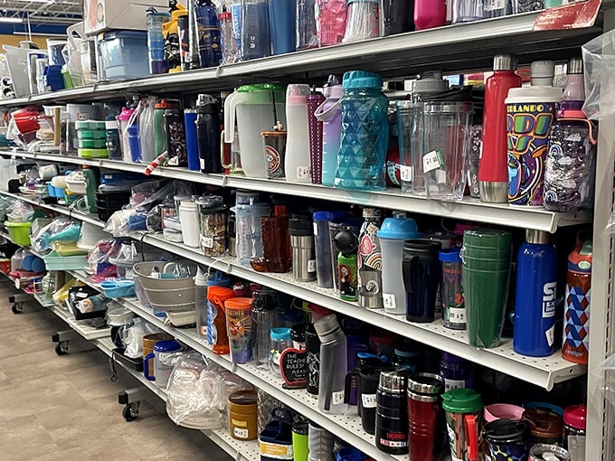 A rainbow of drinkware stands at attention, from novelty mugs to elegant stemware—proof that one person's "we have too many glasses" is another's perfect find.