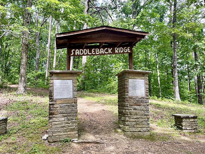 The entrance to Saddleback Ridge Trail – where the journey truly is the destination, and every step reveals Mississippi's hidden geological treasures.