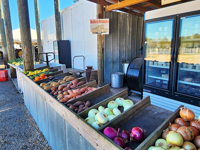 The wooden bins overflow with earth's bounty—each vegetable a testament to soil, sun, and the farmers who nurture them.