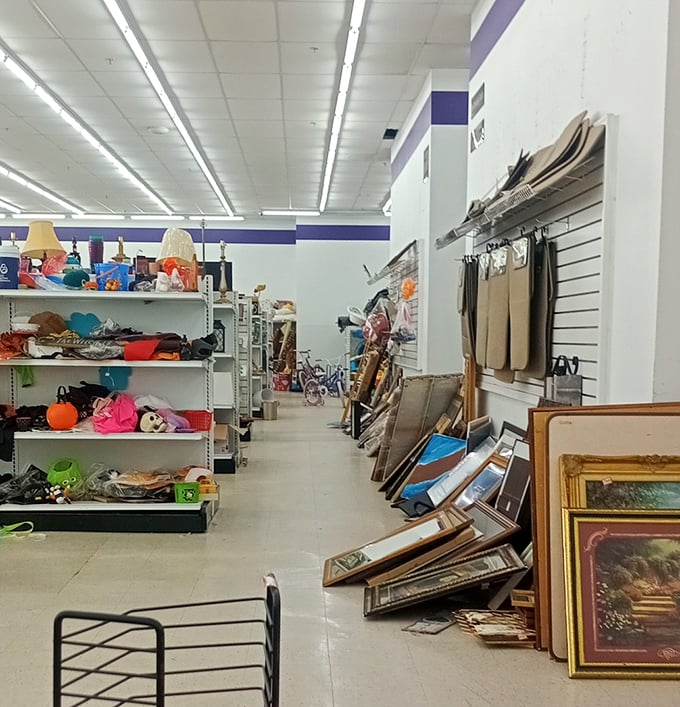 The art and decor aisle – where forgotten paintings and quirky frames lean against each other like old friends at a reunion.
