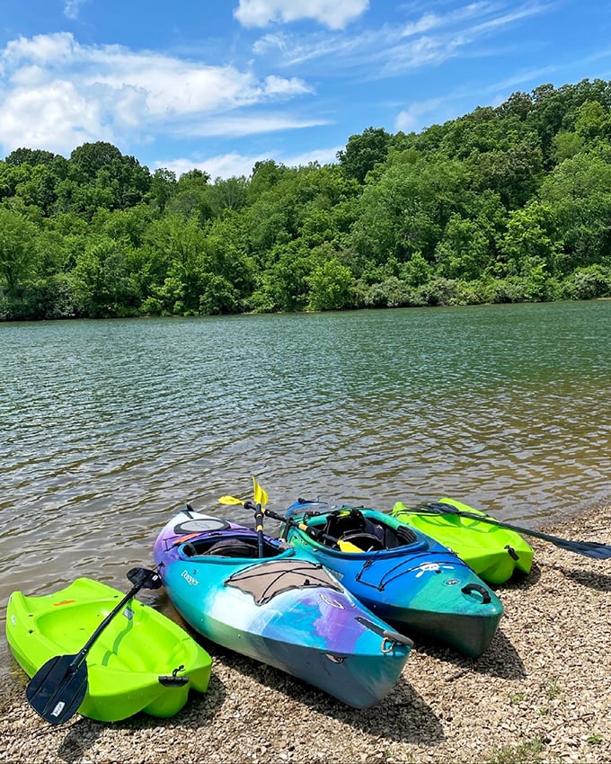 Kayak paradise without the crowds. These colorful vessels await your paddling adventures—no experience or upper body strength required.