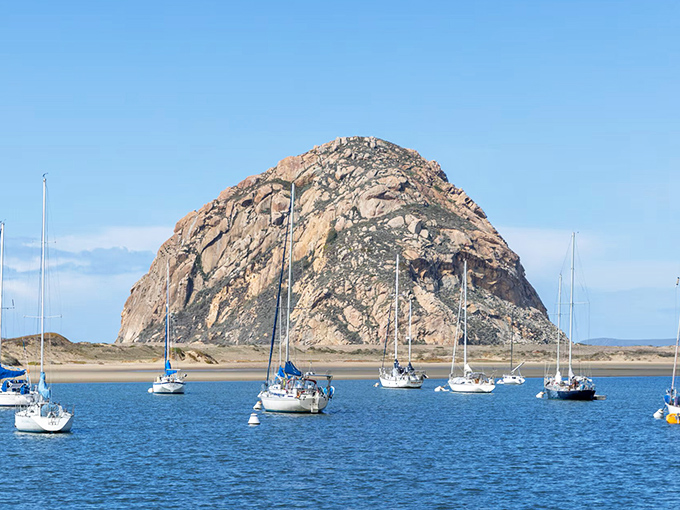 Morro Rock isn't just photogenic—it's the supermodel of geological formations, posing majestically against the blue California sky.