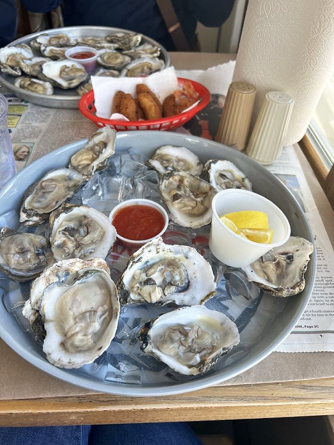 Fresh oysters on ice—nature's perfect appetizer. Each one tastes like the ocean decided to send you a love letter.