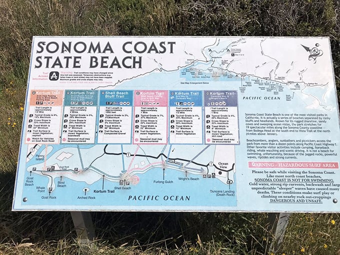 The treasure map to coastal bliss—where X marks not one spot but dozens of perfect beaches waiting for your footprints.