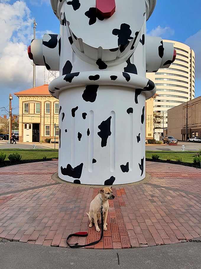 Even this confused pup seems to be calculating whether it's worth the attempt.