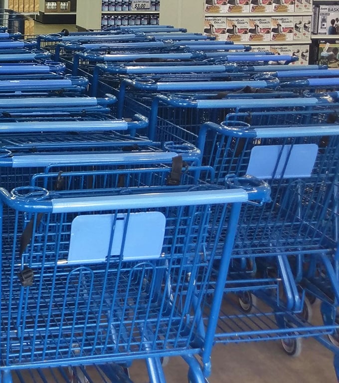 These aren't just carts – they're treasure wagons waiting to haul your finds back to civilization.
