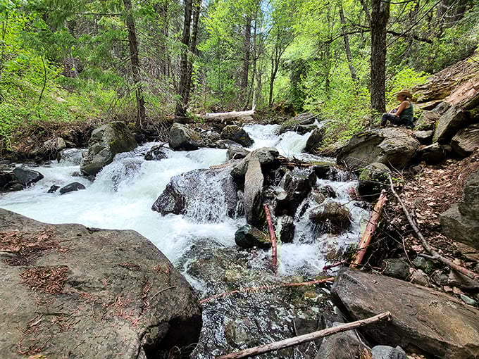 Nature's obstacle course – the creek tumbles over rocks with more enthusiasm than a puppy greeting you after work.