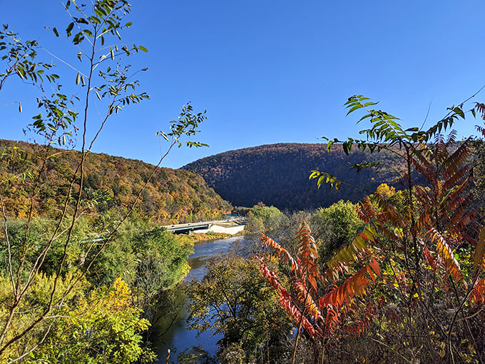 The river cuts through the landscape like a blue ribbon on a gift. Some presents don't need unwrapping to be appreciated.