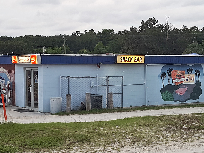 The concession stand glows like a lighthouse guiding hungry moviegoers to snack salvation.