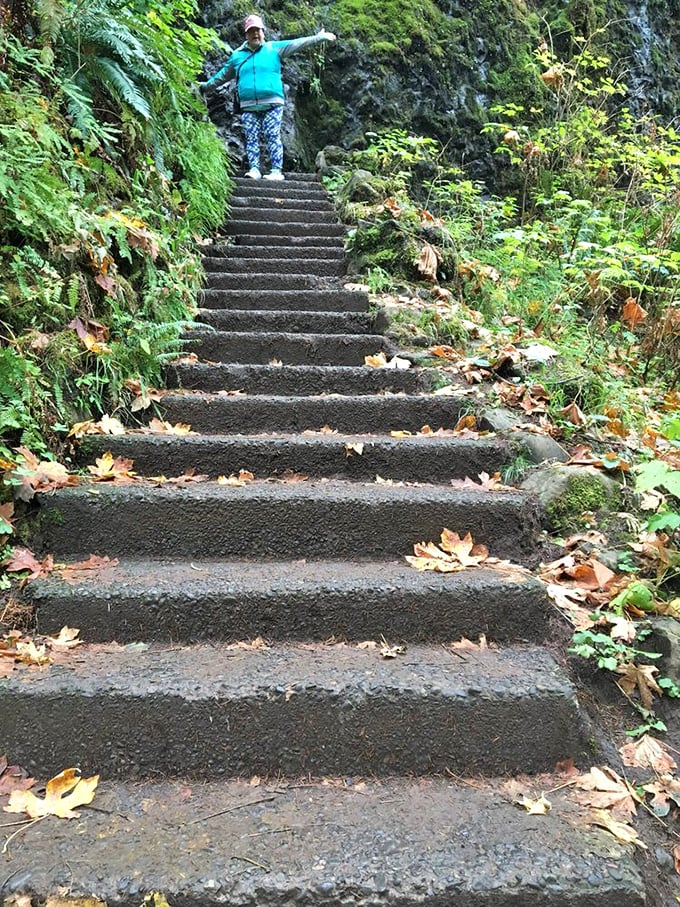 These stone steps, built by the CCC in the 1930s, have witnessed more "I need to start working out" declarations than a January gym.