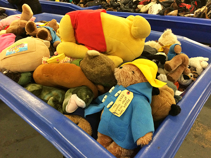 A plush menagerie awaits adoption in the toy bins. That Winnie the Pooh lookalike has stories to tell and cuddles to give in his second chapter.