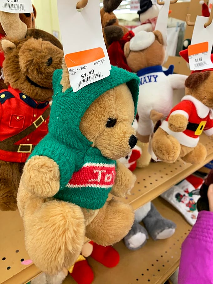 Meet the teddy bear brigade, each priced less than a fancy coffee, ready to bring comfort to new homes or spark joy as gifts.