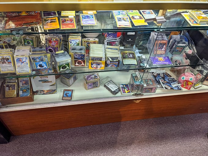 Pokémon cards that might fund a college education someday, displayed with the reverence of ancient scrolls. Charizard, I choose you!