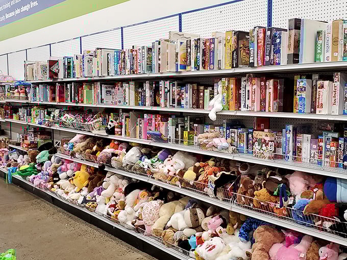 Stuffed animal adoption center meets board game bonanza. The toy section—where childhood memories are both made and rediscovered.